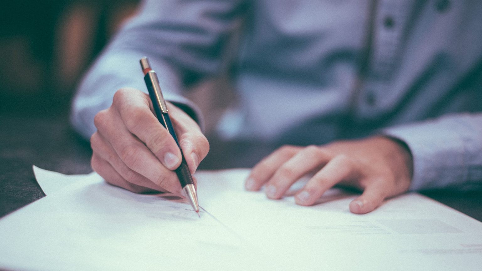 Portfolio companies - MML Capital