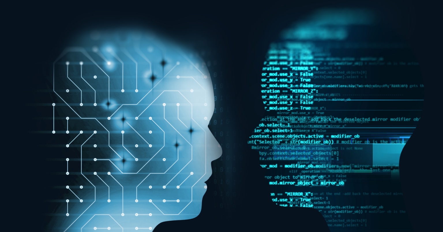 Portfolio companies - MML Capital